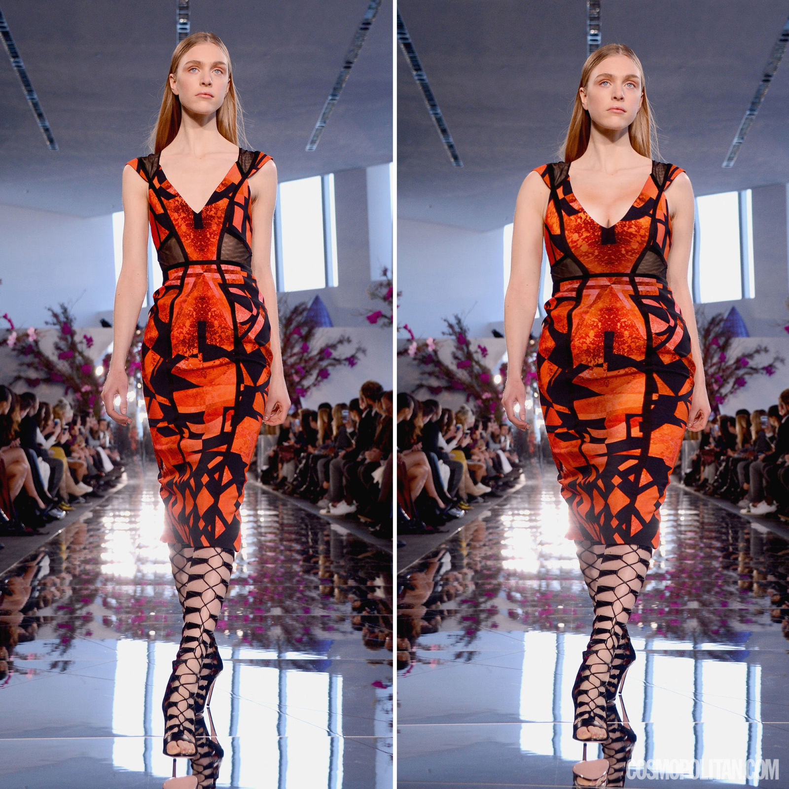 Typical American Women