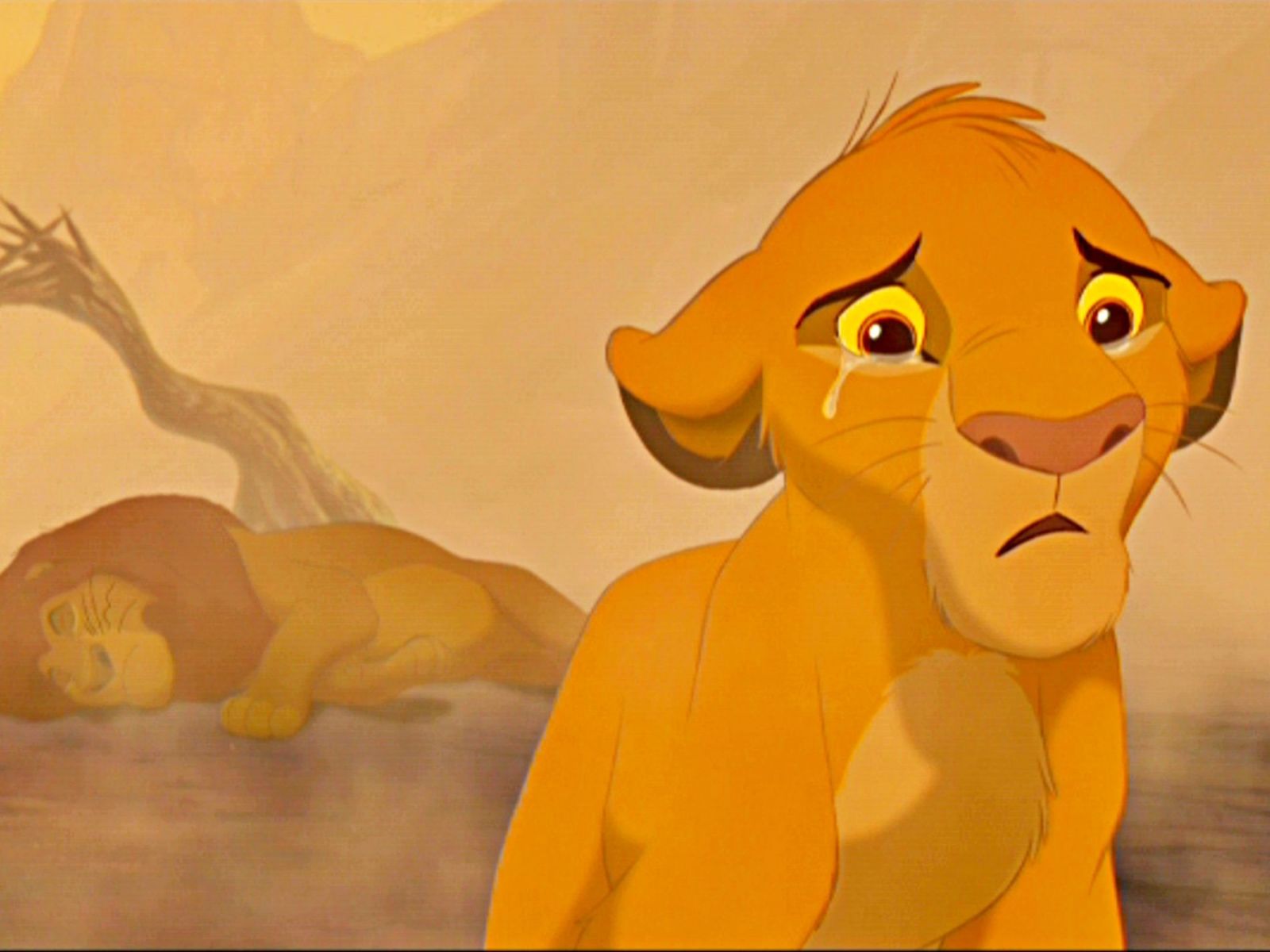 Gif Triste De Simba I Cried So Hard When He Died💔 #fyp #mufasa