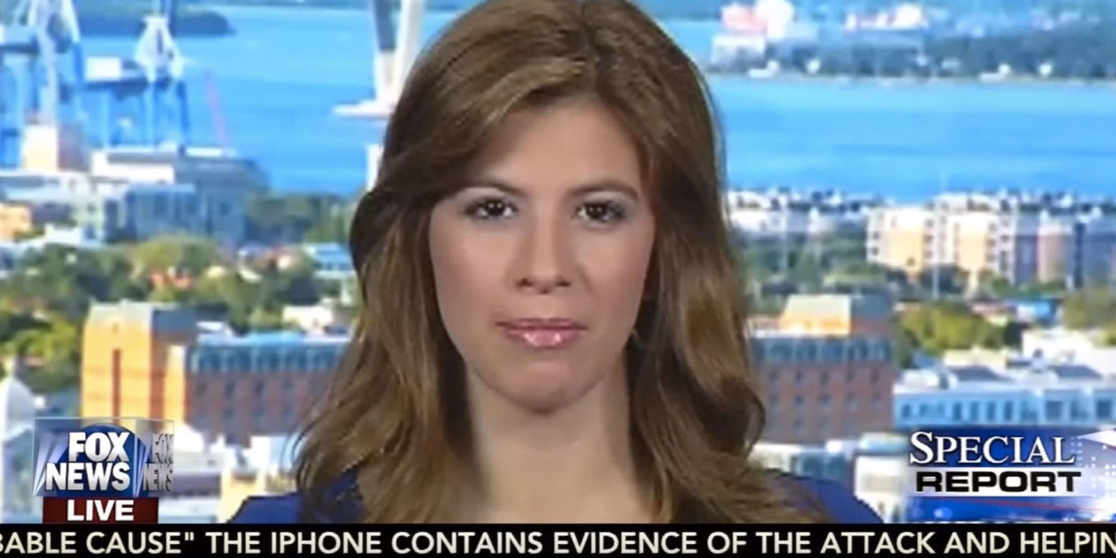 Michelle Fields Fired
