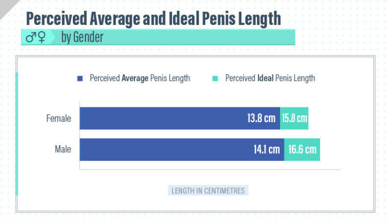Peins Size Test